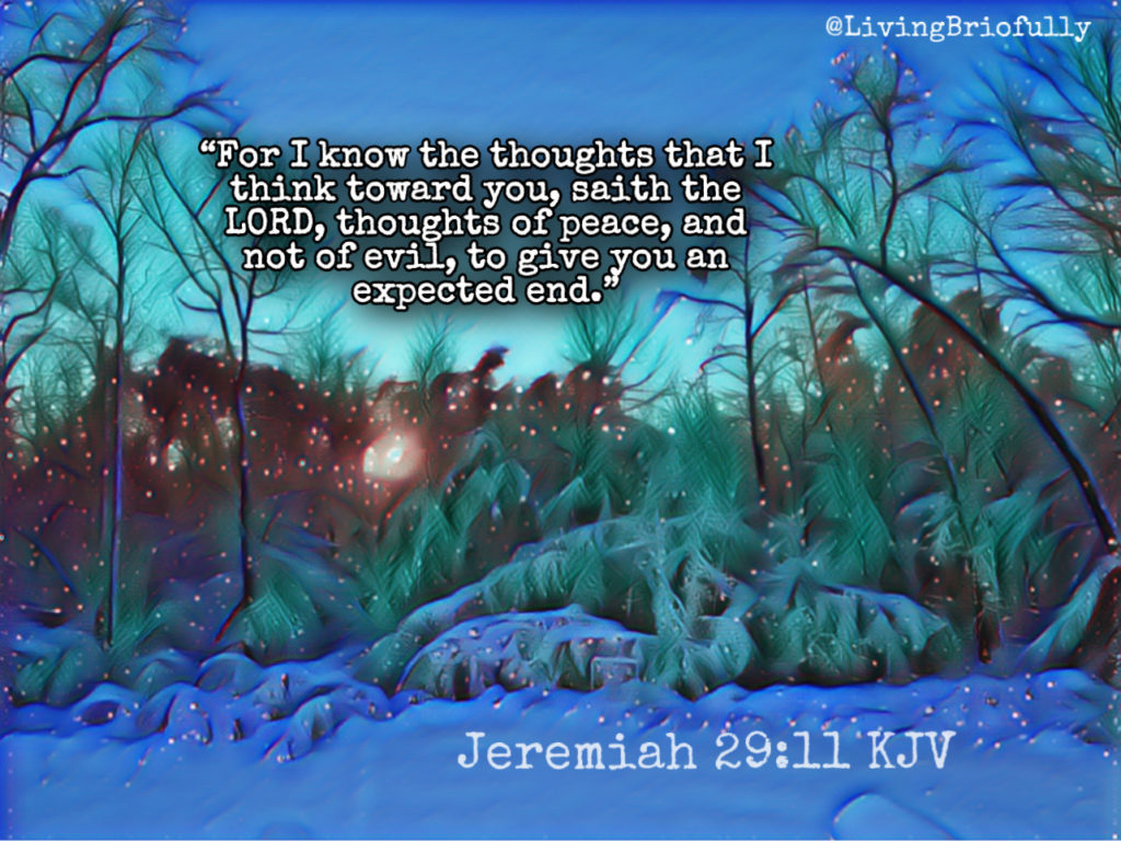 Jeremiah 29:11 - Briofully